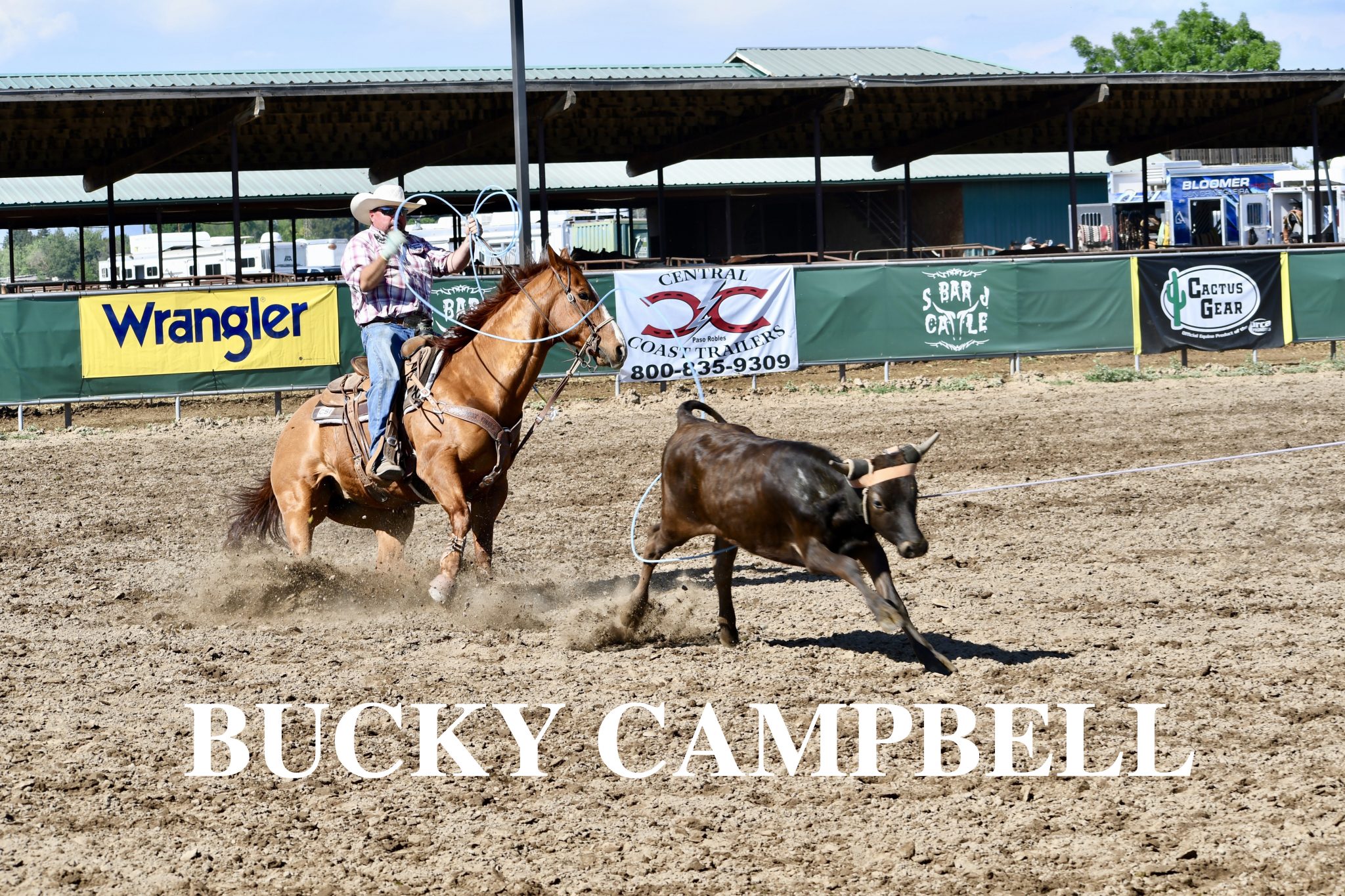 BuckyCampbellETP – CSI Saddle Pads
