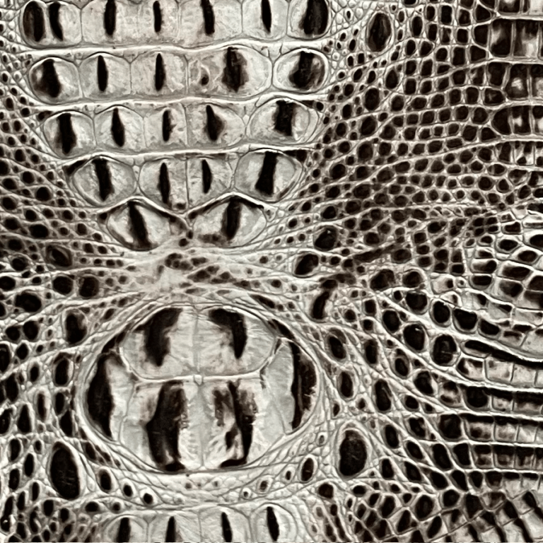 Custom CSI Saddle Pads: Inlay – CSI Saddle Pads