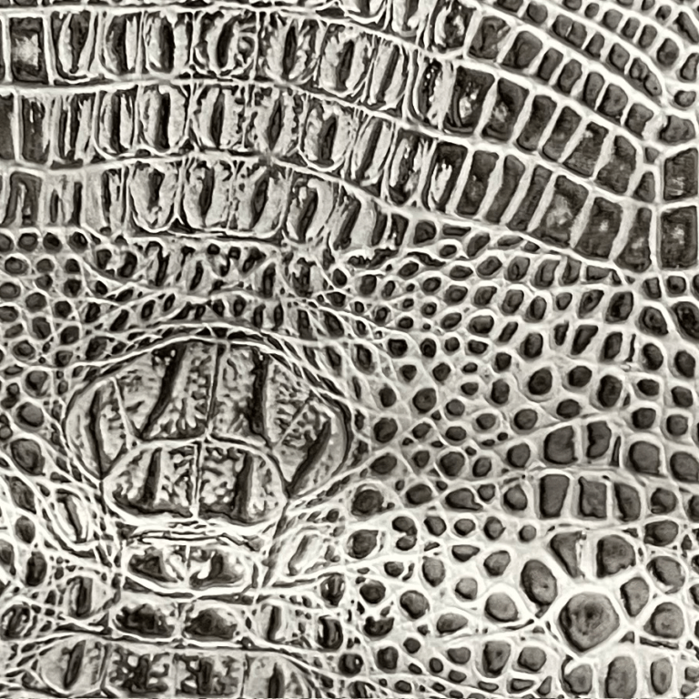 Custom CSI Saddle Pads: Inlay – CSI Saddle Pads