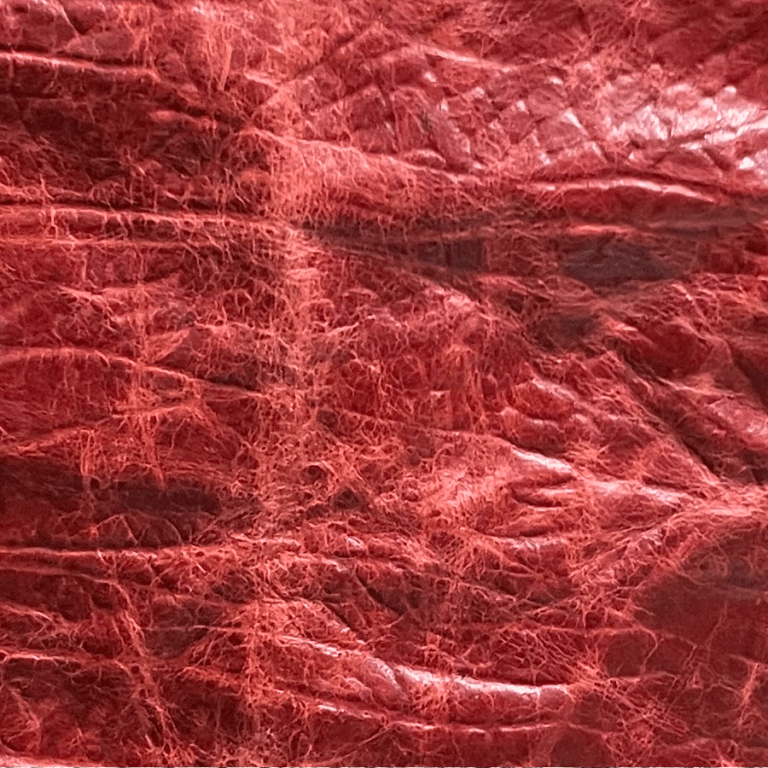 Custom CSI Saddle Pads: Inlay – CSI Saddle Pads