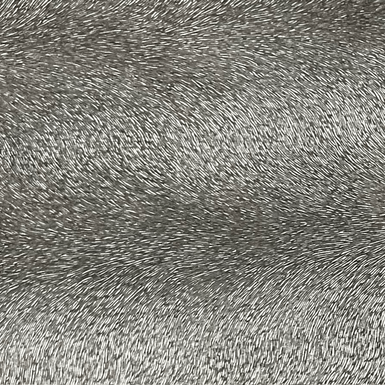 Custom CSI Saddle Pads: Inlay – CSI Saddle Pads